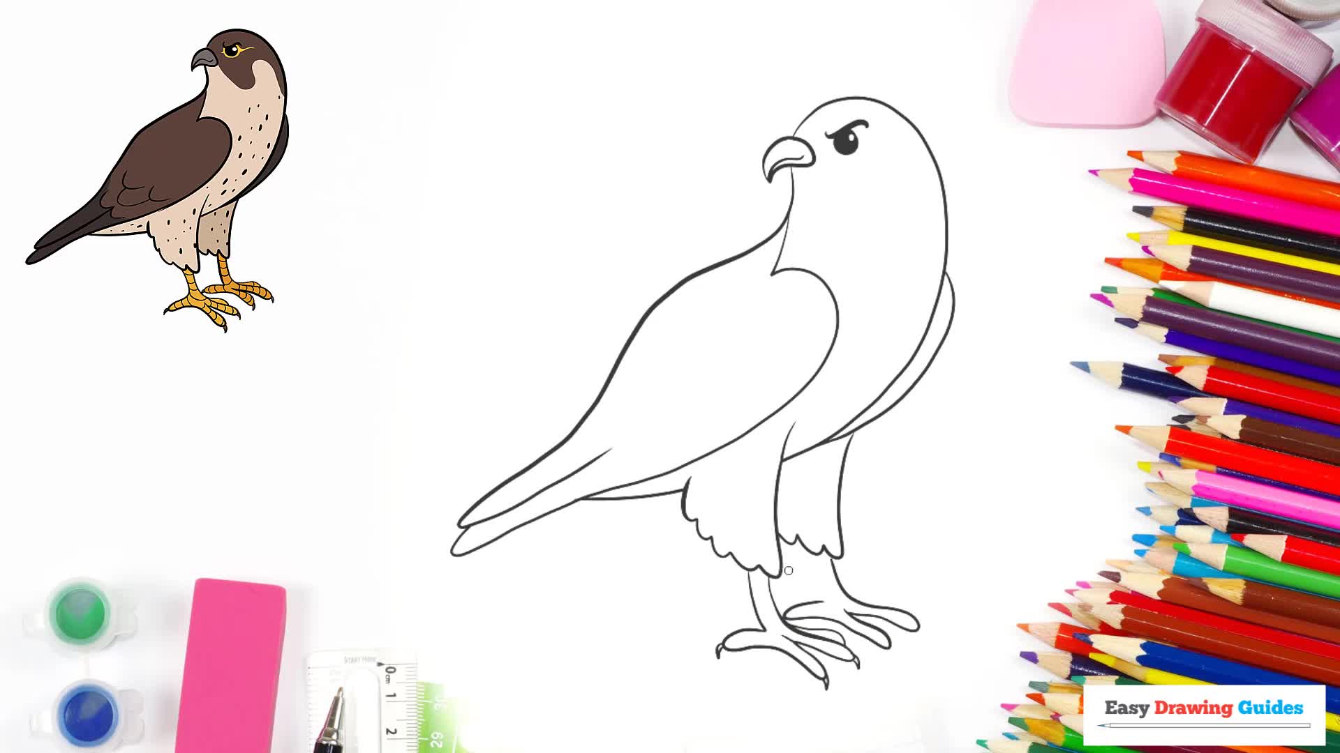How To Draw A Cartoon Falcon