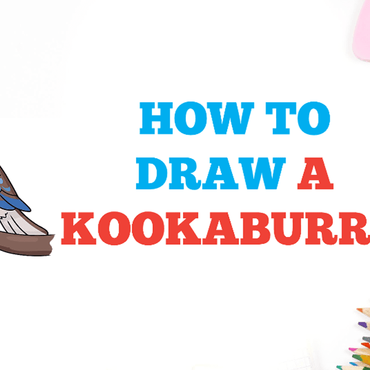 how to draw a kookaburra bat