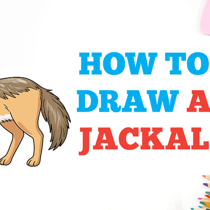 How To Draw A Jackal Face