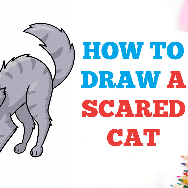 how to draw a scared cat