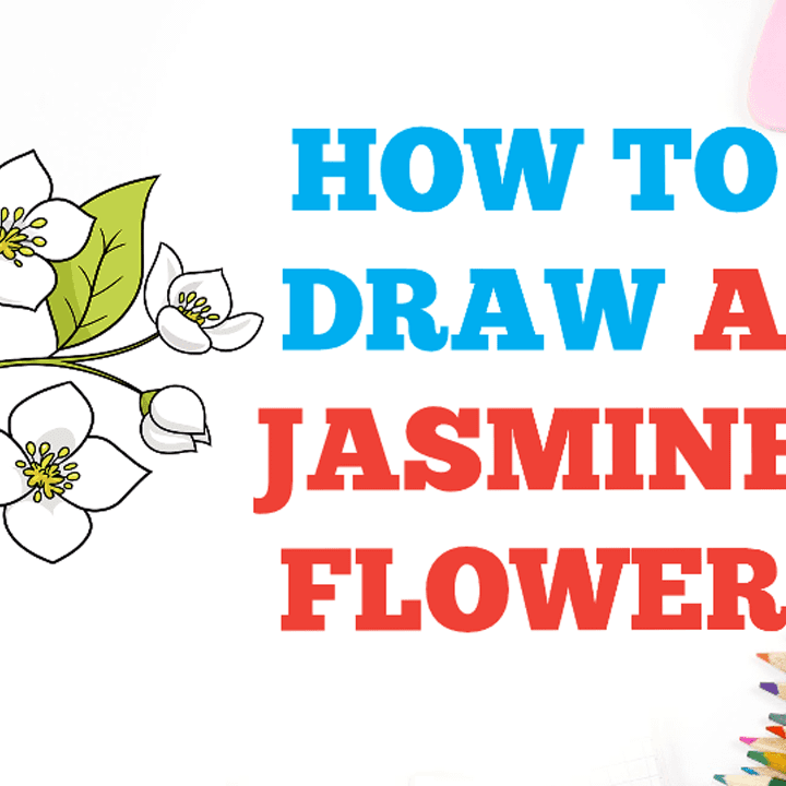 how to draw jasmine flowers