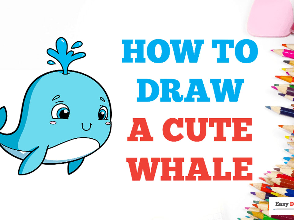 how to draw cartoon whale