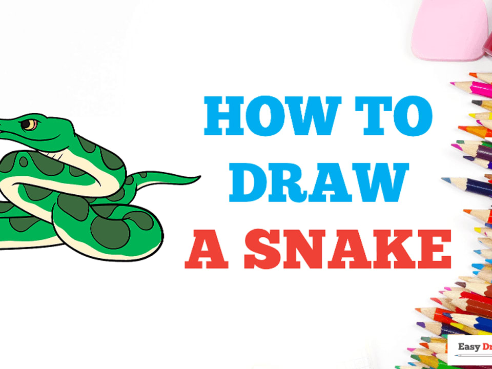 how to draw a snake step by step for beginners