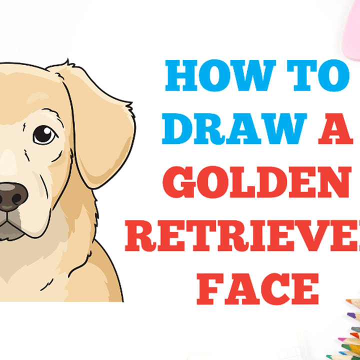 how to draw golden retriever puppy