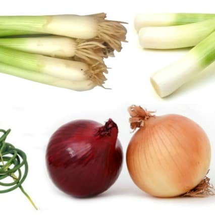 shallot substitute
