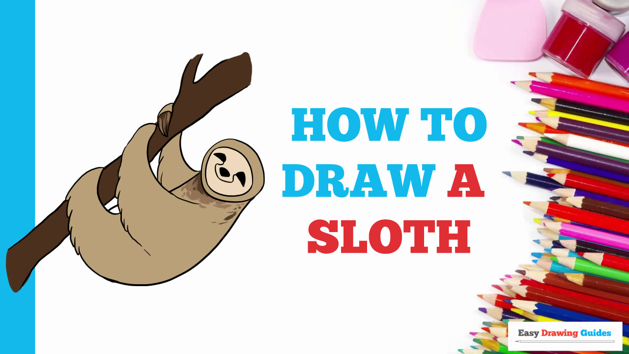 how to draw sloth fur