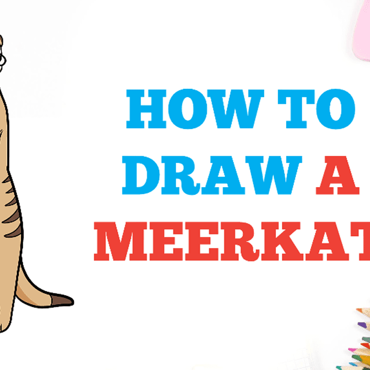 how to draw a cat narrated