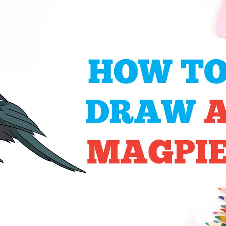 how to draw magpie bird