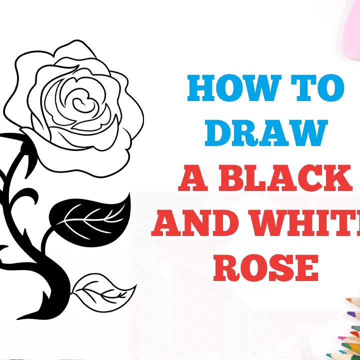 how to draw a rose black and white