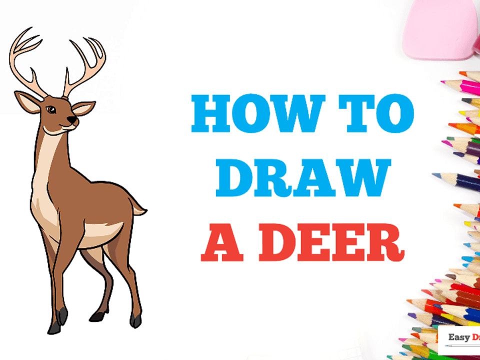 how to draw a cute deer easy