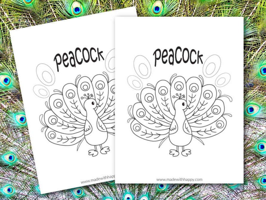 peacock coloring pages