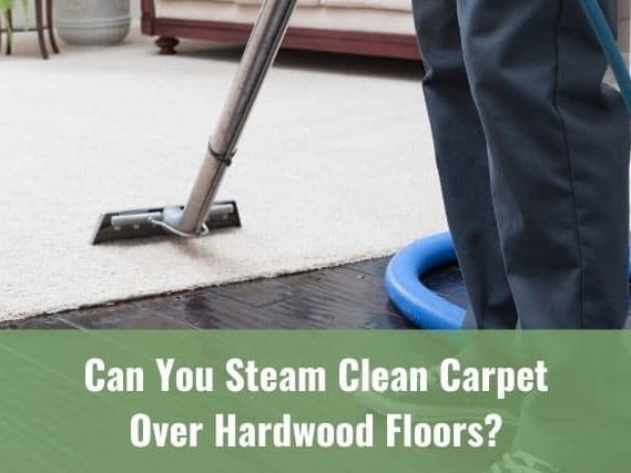 Steam Clean Area Rug On Hardwood Floor | Floor Roma