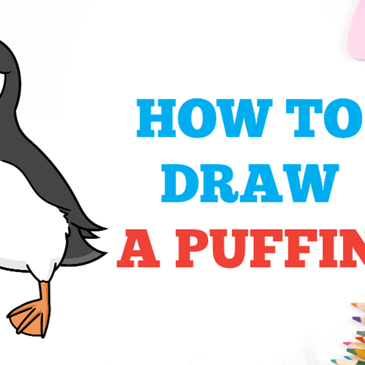 how to draw puffins feet