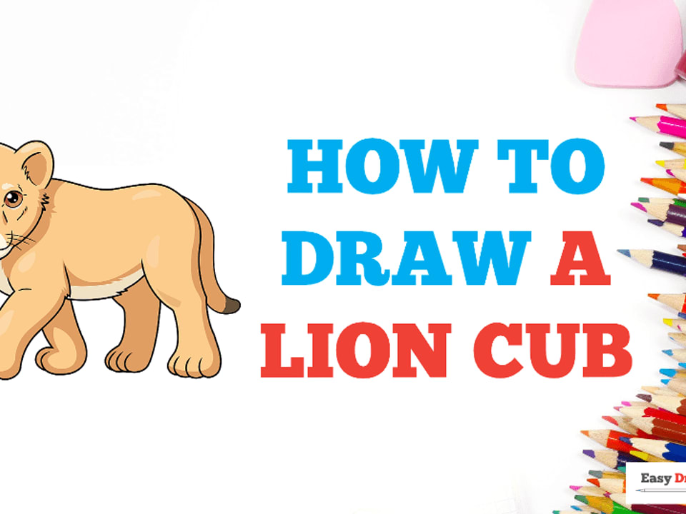 how to draw a young lion