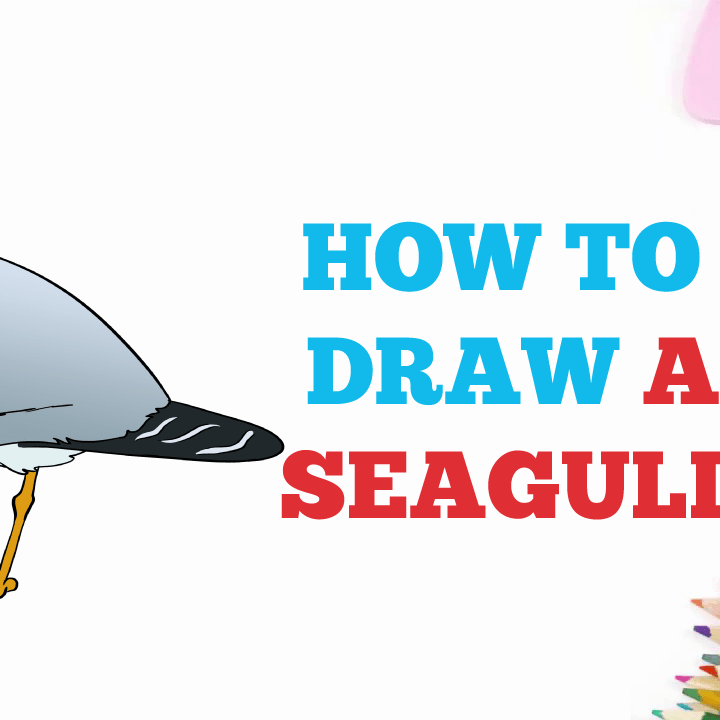 Simple Seagull Drawing