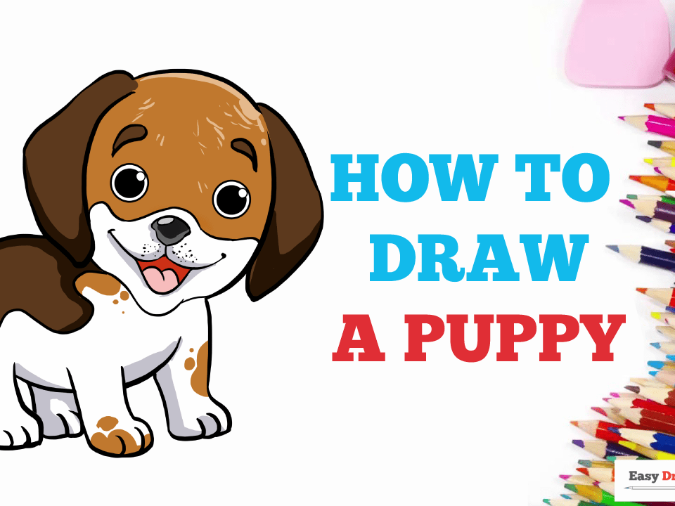 how to draw a puppy easy step by step for beginners